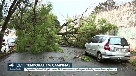 Temporal Derruba árvores E Provoca Alagamentos Em Campinas Veja