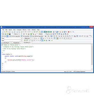 What Is Emeditor From Emurasoft Inc