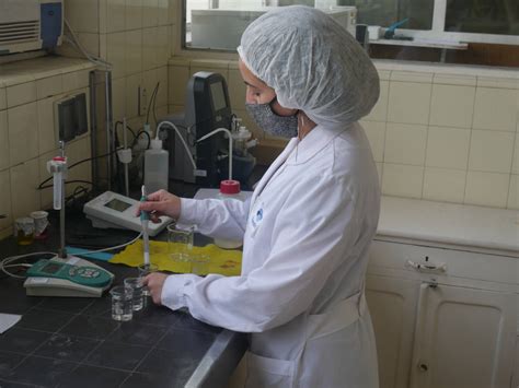 Anmat Aprobó El Uso De Farmacov Test Serológico De Covid 19 Que Es