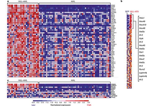 The Self Renewal Associated Signature Is Found In Human Mll Rearranged