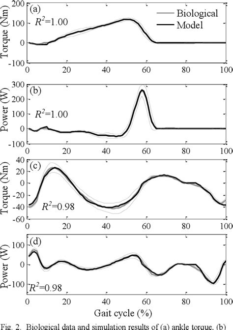 Figure 2 From A Model Of Muscle Tendon Function In Human Walking