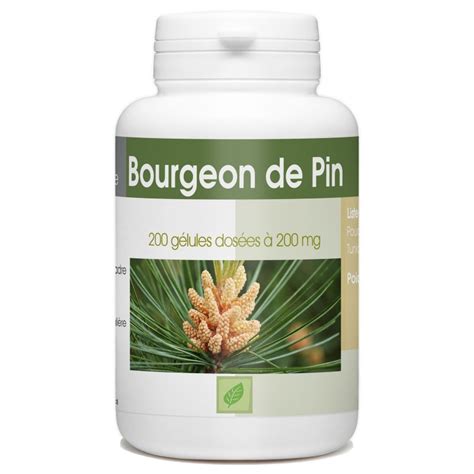Bourgeon De Pin Mg X G Lules Vitanat