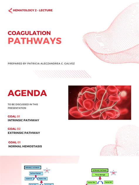 Lecture Hematology Pdf