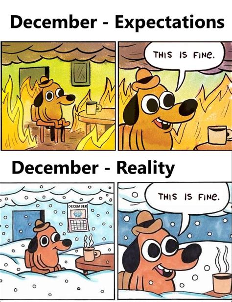 The Funniest December Memes 2024 Edition