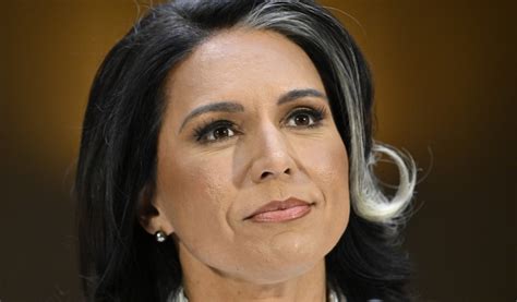 Reports Tulsi Gabbard Prepares To Fire Intel Employees Who