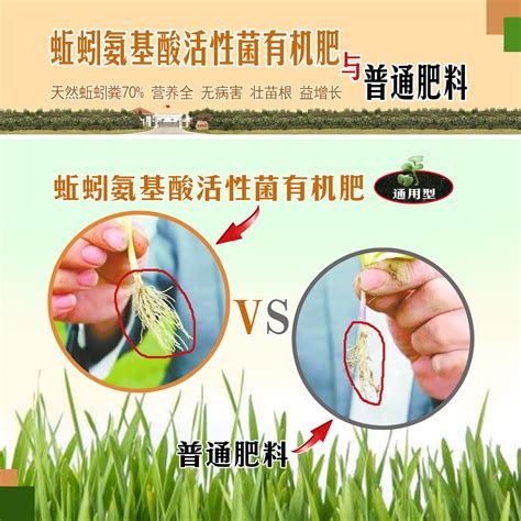 有机肥蚯蚓氨基酸活性菌有机肥料土壤改良剂营养基质营养有机土 阿里巴巴