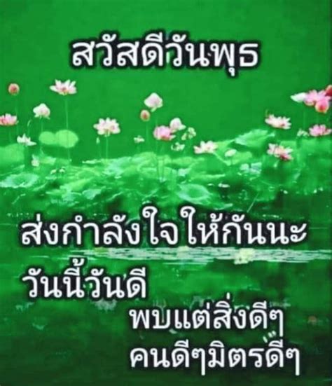 The Words In Thai Are Written On Green Water Lilies And Lily Pads With