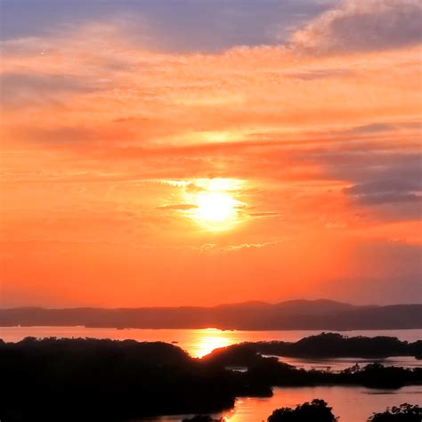 M's Inc | M's株式会社