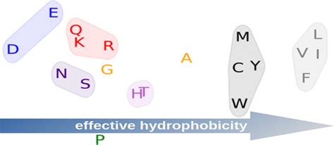 Interpretable Machine Learning Of Amino Acid Patterns In Proteins A