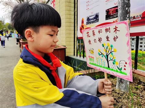 【校园传真】汉滨区南门小学开展爱绿护绿主题实践活动 汉滨区人民政府