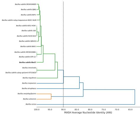 Figure 1 From Complete Genome Sequence Analysis Of Bacillus Subtilis