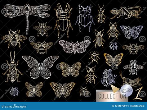 Big Hand Drawn Golden Line Set Of Insects Bugs Beetles Honey Bees