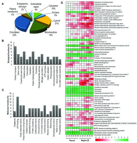 Spatial And Functional Distributions And Heatmap Of Identified
