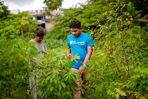 The Contribution Of Volunteering To Climate Action And Community