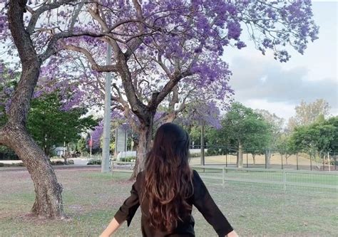 Calia Natural Shampoo And Conditioner Beauty And Personal Care Hair On