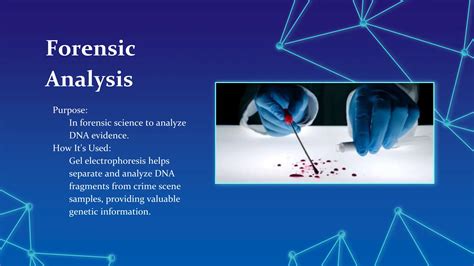 Plasmid Isolation And Gel Electrophoresis Pptx
