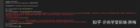 Vscode 终端不能使用 Cnpm 脚本 知乎