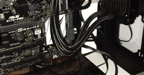 Internals Album On Imgur