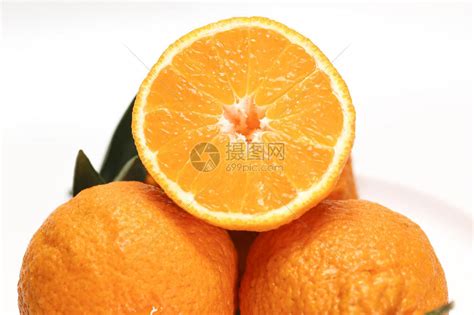橘子高清图片下载 正版图片502408275 摄图网