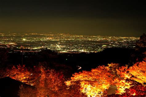 大山紅葉ライトアップ 一社伊勢原市観光協会 公式ホームページ