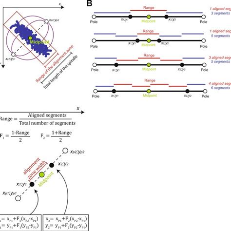 Identifying Chromosome Alignment Regions As A Function Of The Range Download Scientific Diagram