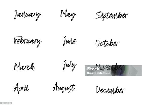 Month Names Cursive Typography Set Handwritten Calligraphic Outline Script Collection Of