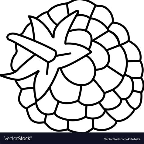Raspberry Leaf Berry Line Icon Royalty Free Vector Image