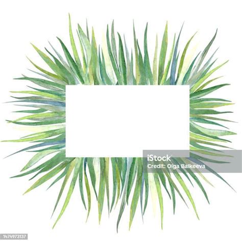 여름 푸른 잔디가 있는 수채화 식물 직사각형 프레임 화환은 초대장 카드 및 기타 프로젝트에 적합합니다 0명에 대한 스톡 벡터