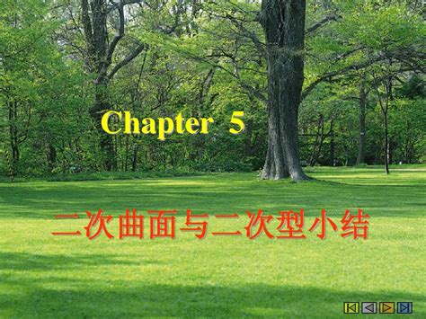 2chapter5 5 二次曲面与二次型小结 word文档在线阅读与下载 无忧文档