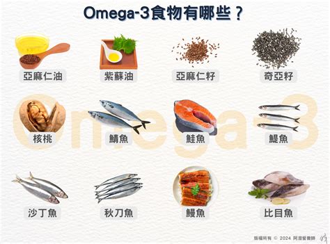 魚油怎麼選才不踩雷？2025完整懶人包教你挑對高cp值魚油！ 阿潛營養師