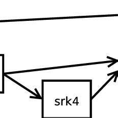 Structure Of Tracking Code Download Scientific Diagram