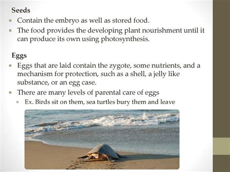 Sexual Reproduction The Diversity Of Life Ppt Download