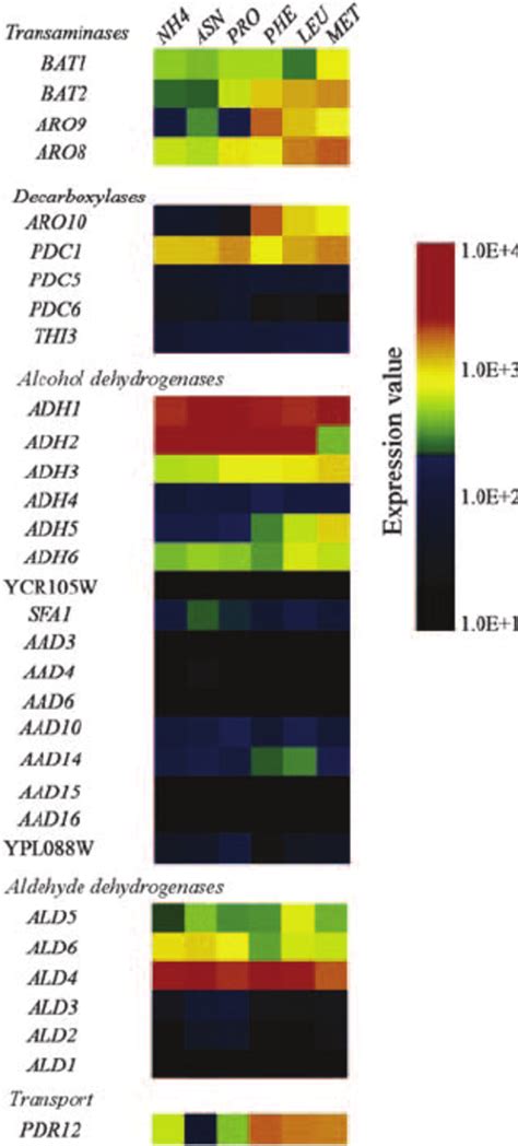 Heat Map And Identities Of The Genes That May Encode Enzymes Involved