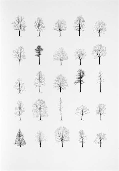 Tree Photoshop Tree Drawing Tree Tattoo Designs