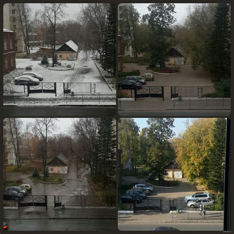 4 сезона Пикабу