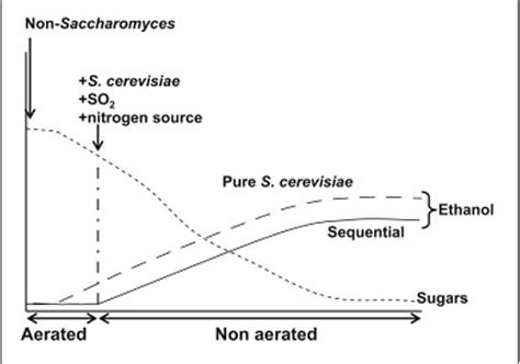 Figure 2 From Non Conventional Yeast Species For Lowering Ethanol