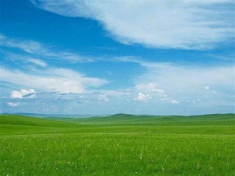 Дорнод Монголын хээрийг Дэлхийн өвд бүртгүүлэхэд ЮНЕСКО той хамтран ажиллана Isee Mn