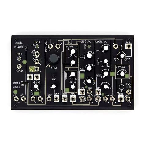 Make Noise 0 Coast Patchable Synthesizer Reverb Synthesizer Noise
