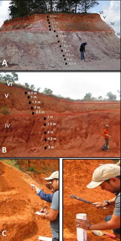 Field Observation Activities A B C Outcrop Descriptions Thickness
