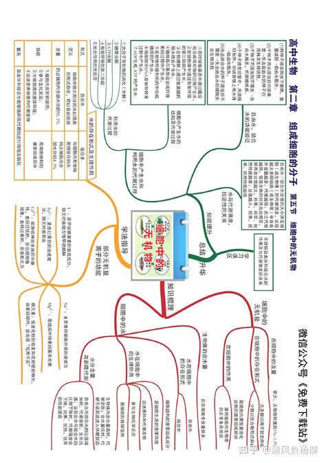高中生物全套思维导图（高清版） 竖版 知乎