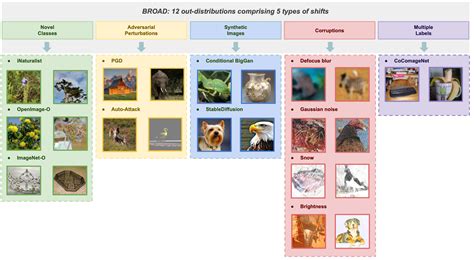 Expecting The Unexpected Towards Broad Out Of Distribution Detection