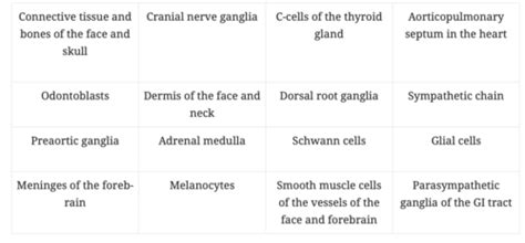 The Placodes The Neural Crest And Their Derivatives Development Of The Peripheral Nervous