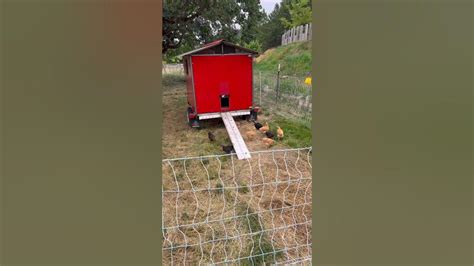 The Ultimate Chicken Tractor Youtube