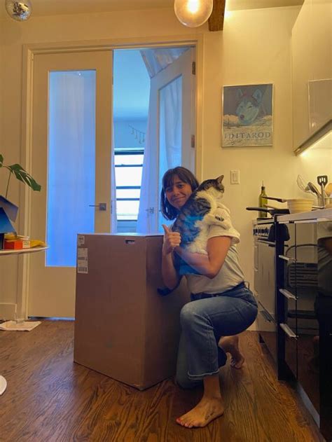 The Litter Robot 4 Does What It Says It Will — But Is That Enough
