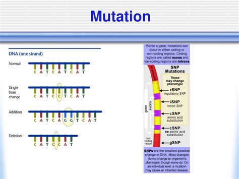 Ppt Sequencing And Sequence Alignment Powerpoint Presentation Free