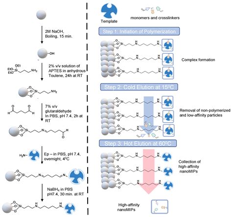 Development Of A Point Of Care Spr Sensor For The Diagnosis Of Acute Myocardial Infarction