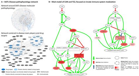 Application Of Systems Biology Based In Silico Tools For Optimal Treatment Strategy