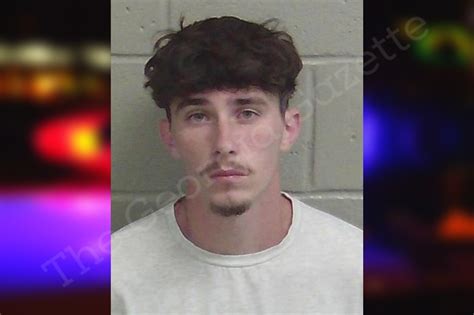 Dylan Copeland — Wayne County Jail Bookings