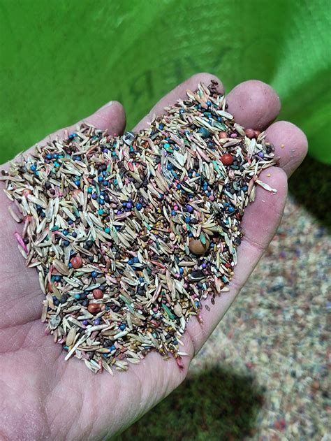 Pasture Seed Mixes And Treating Vernado — Vernado
