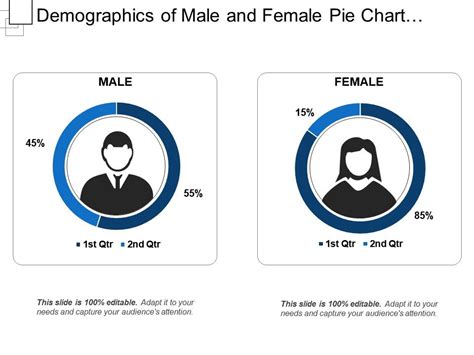 Demographics Of Male And Female Pie Chart Showing Percentage PowerPoint Templates Designs